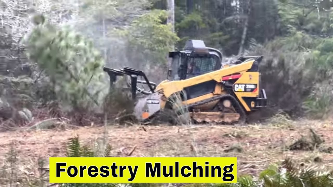 Forestry Mulching on our tree farm // Clearing brush for our house and ...