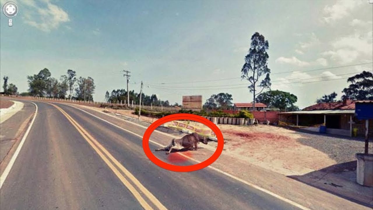 10 Cosas Muy Extra as Encontradas En Google Maps Y Google Earth YouTube 10-cosas-muy-extra-as-encontradas-en-google-maps-y-google-earth-youtube
