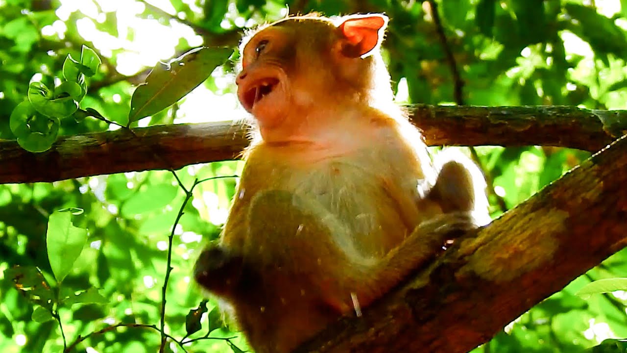 Ariana called mommy Anna - YouTube