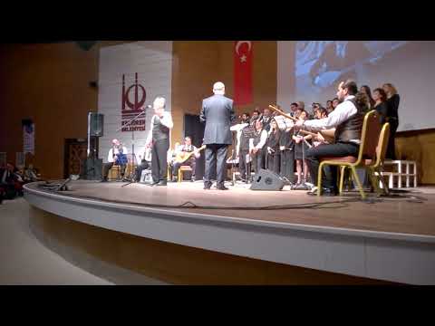 Ziya'nın Ağıdı (Çamlığın başında tüter bir tütün)