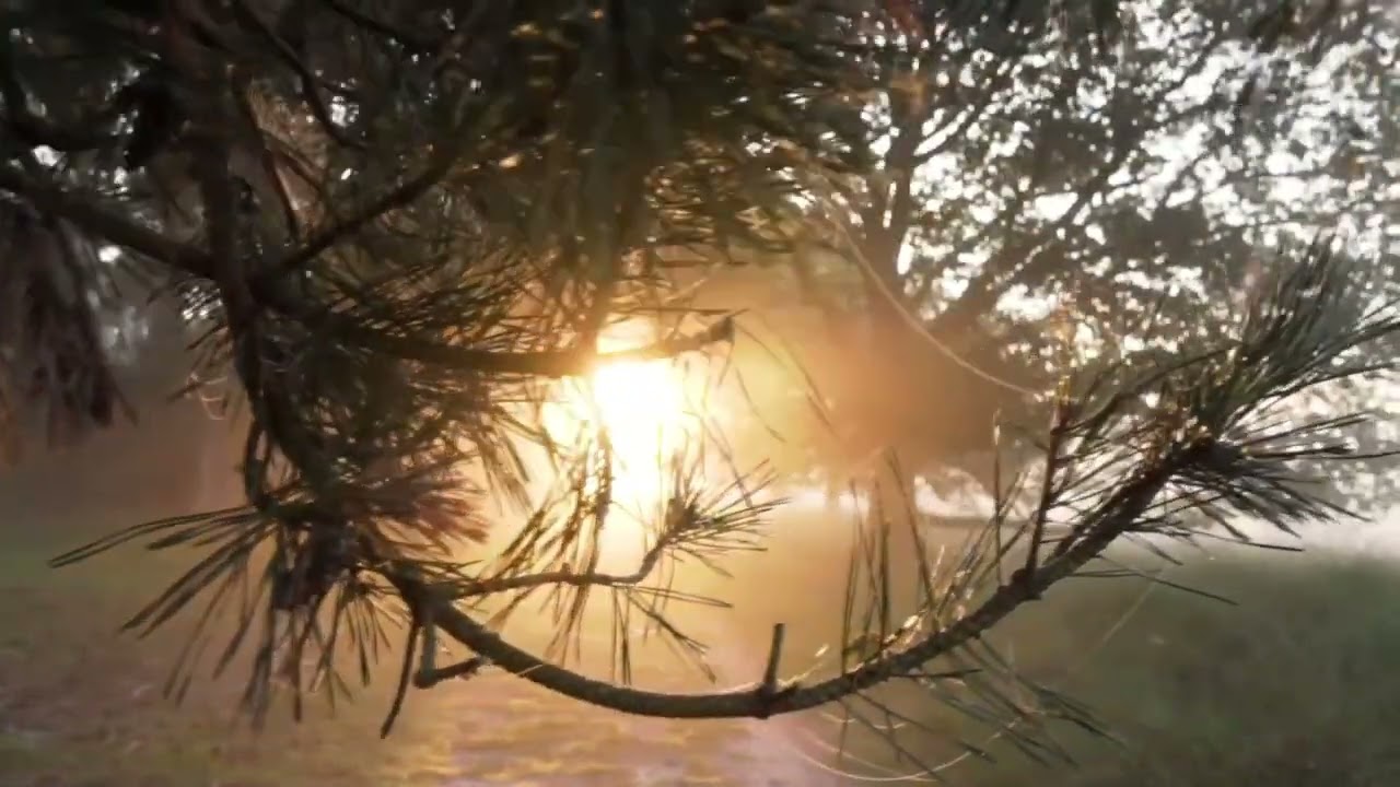 CLOSER TO OUR DREAMS LYRICS- GRADUATION SONG (c) GERALD SANTOS - YouTube