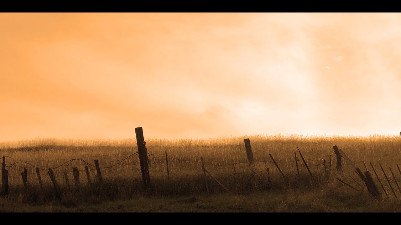 Every Other Day Or So Art Studio Progress Update Walk Through Video 5 - YouTube