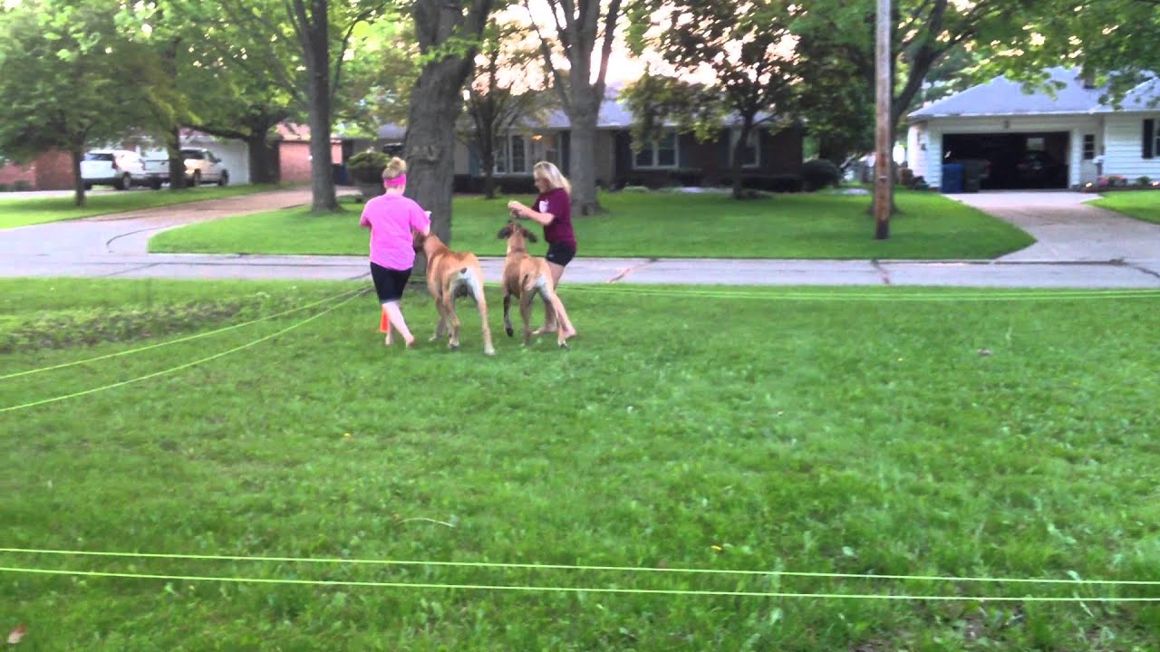 Mary Loflin double down and back - YouTube