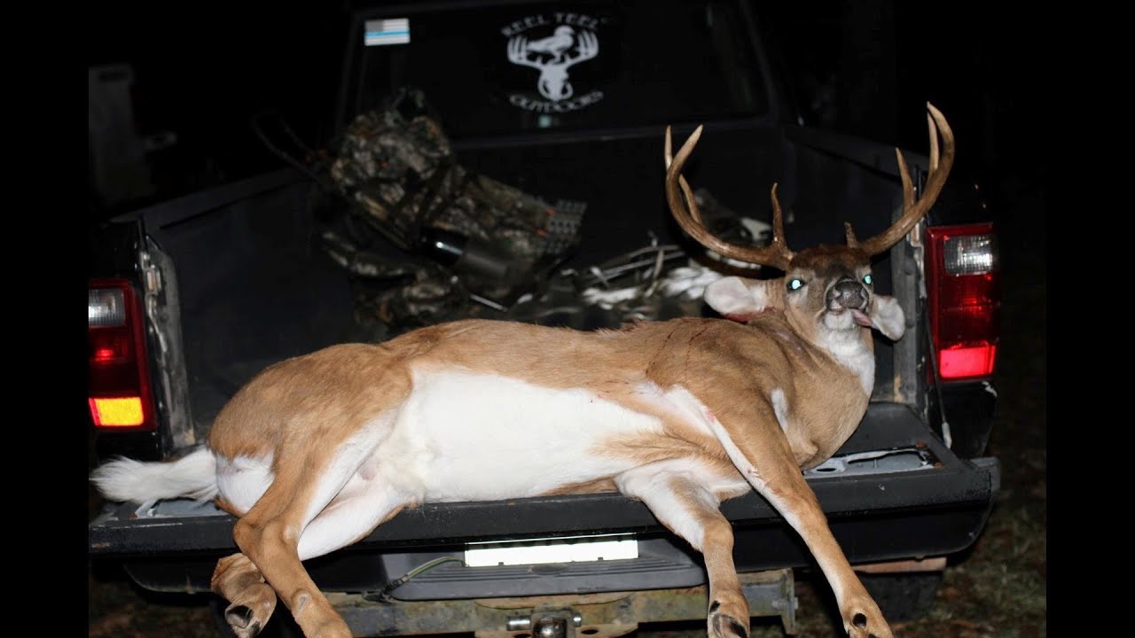 Christmas Bucks Everywhere (MS Public) - YouTube