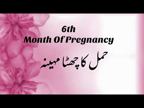 6 Months Pregnancy Complete Information | 6 Months Of Pregnancy | Pregnancy Info About 6 Month