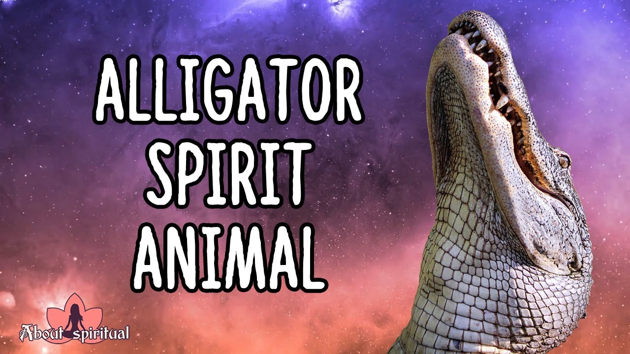 Alligator Spirit Animal | Meaning & Symbolism - YouTube