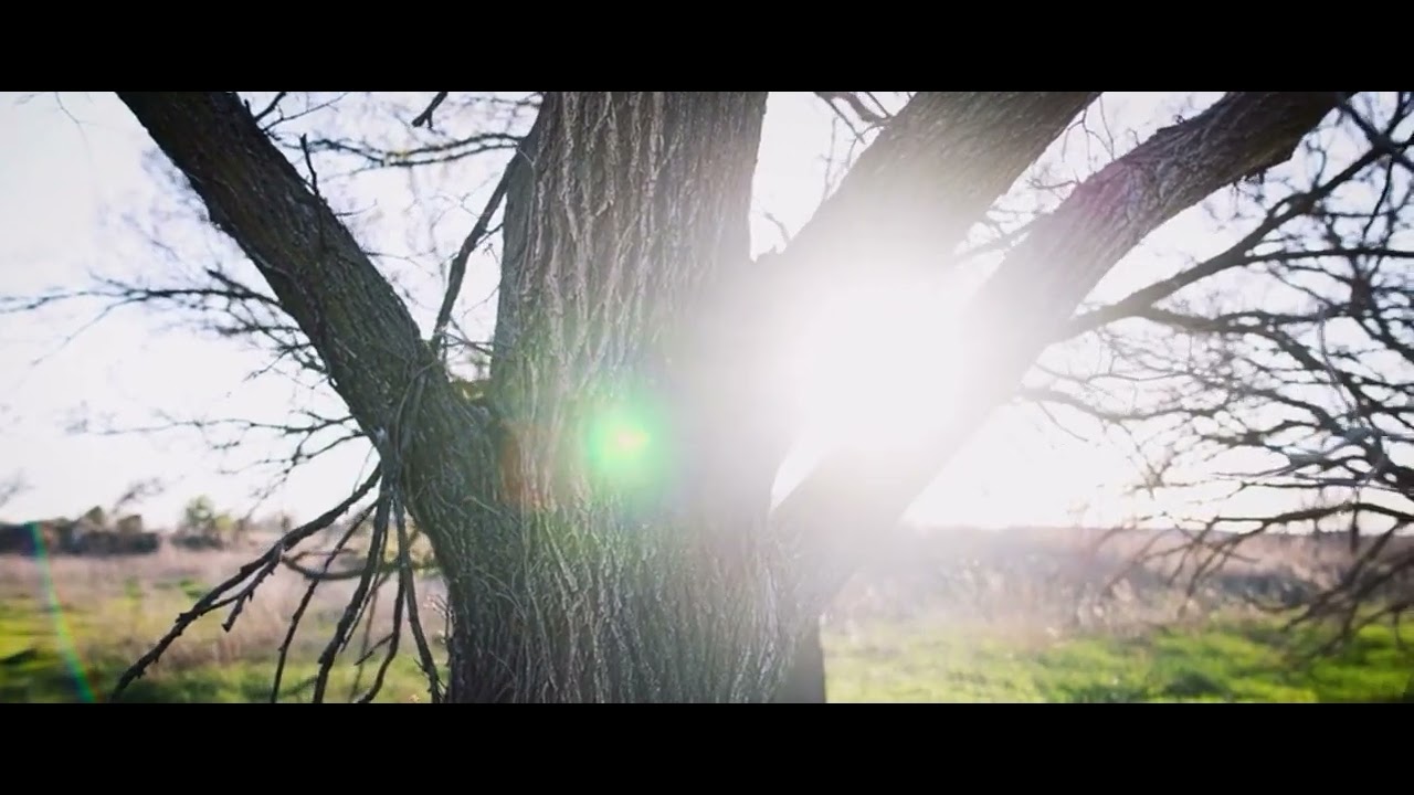 765 Gorgeous Acres in Taloga, Oklahoma - YouTube