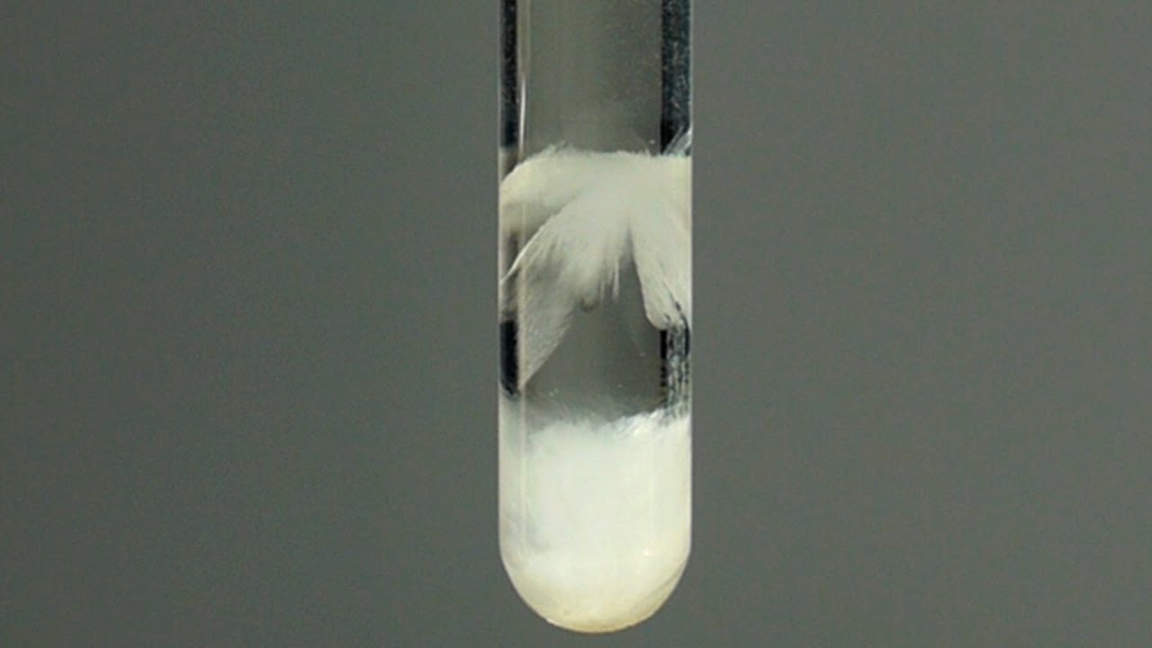 Solubilidad Y Temperatura Precipitado Experimento Youtube