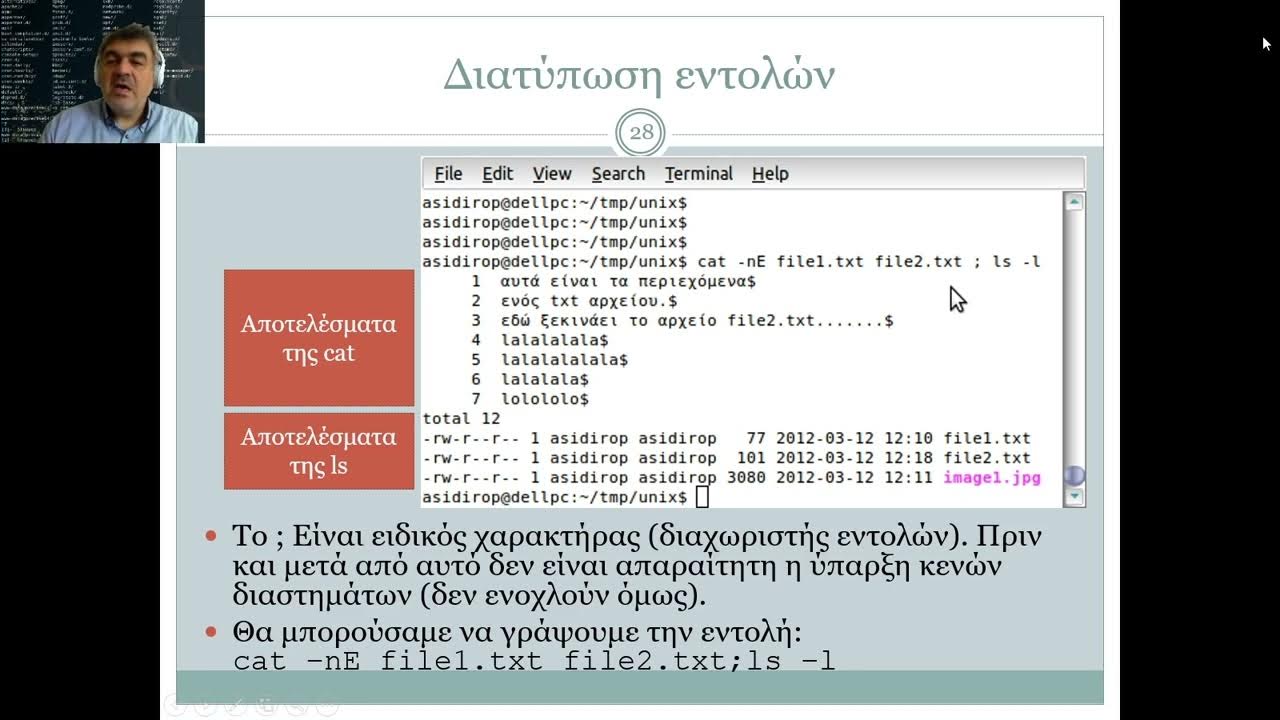 02 5 Operating Systems Cli Intro Examples - YouTube