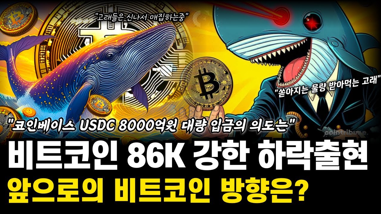 비트코인 강한 하락 출현후 앞으로의 방향성 코인베이스 Usdc 대거입금 고래들 축적주소 대거 증가 시장의 방향성 정해졌다