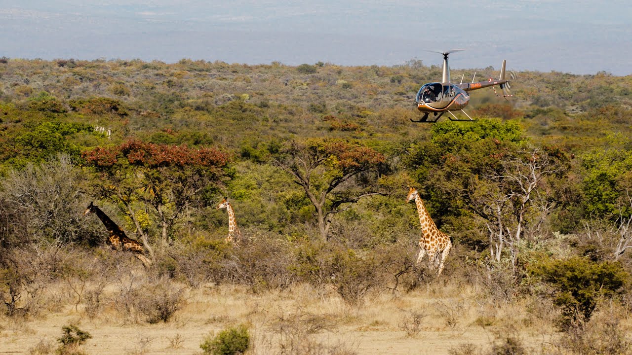 GAME CENSUS 2023 - YouTube