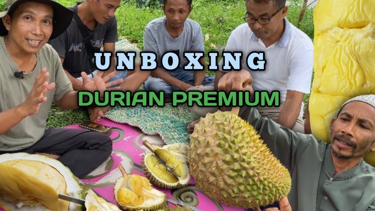 UNBOXING DURIAN PREMIUM ( KANYAO, MUSANG QUEEN DAN BAWOR) - YouTube