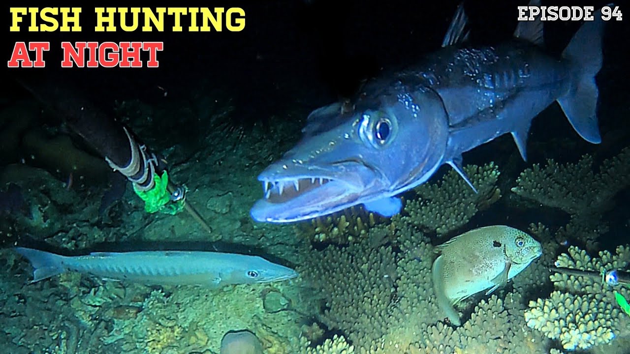 NIGHT SPEARFISHING EPISODE 94 | FISH HUNTING AT NIGHT - YouTube