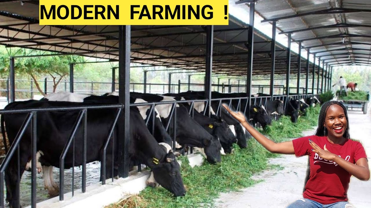 How To GROW A Successful FARM At A LOW COST! | Farm Updates - YouTube