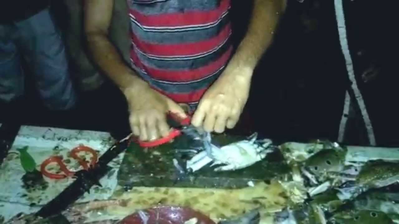 Cox's Bazar Kakra Fry... - YouTube
