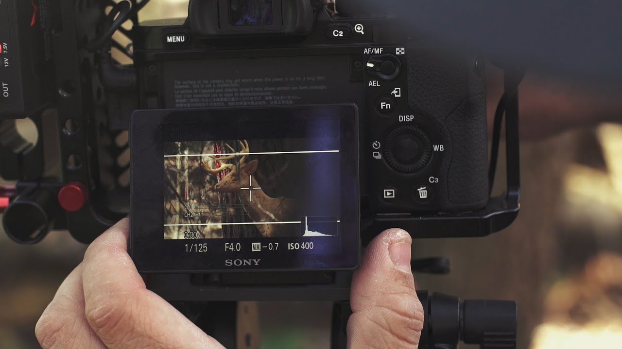 Video Tech Tip (2 of 10) Auto Focus Vs. Manual - YouTube