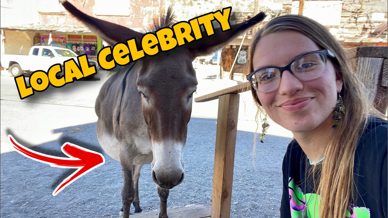 The Wild West Town Where Donkeys Roam Free: Oatman, Arizona - YouTube