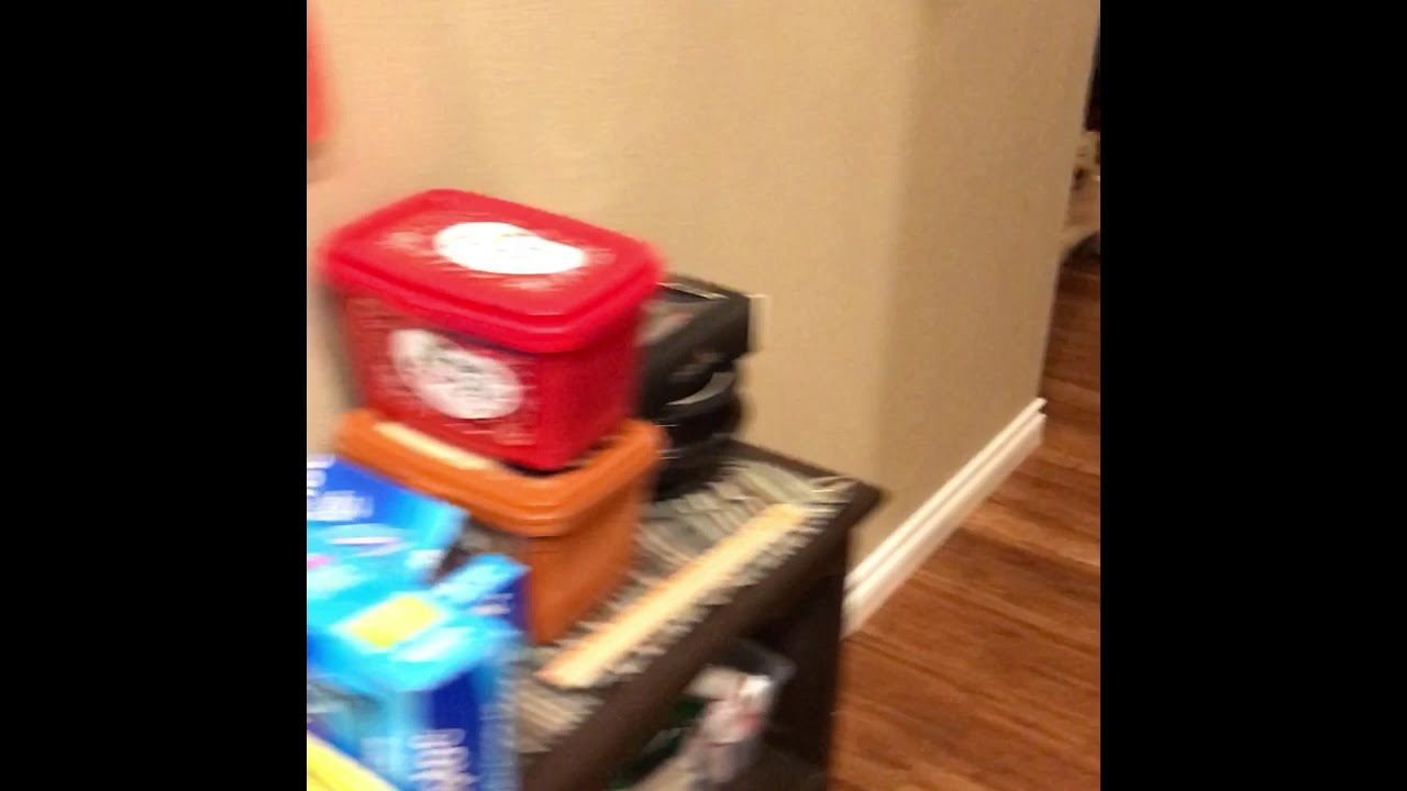 Baby Shimmy Shimmy Coconut Cairn Terrier Terrorizes Big White Yeti Dog ...