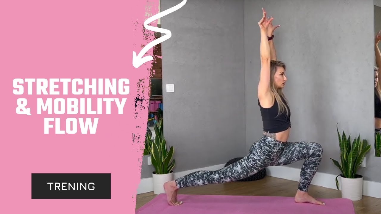 Stretching & mobility flow - YouTube
