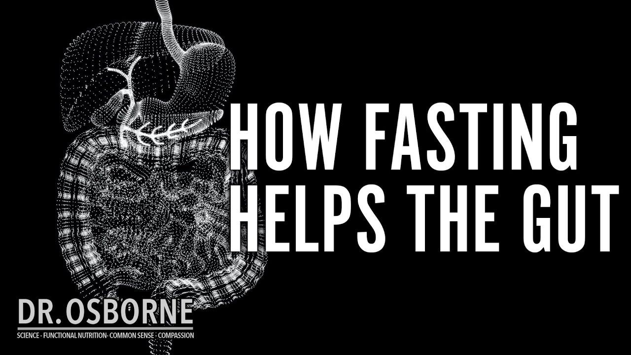 How fasting helps the gut - YouTube