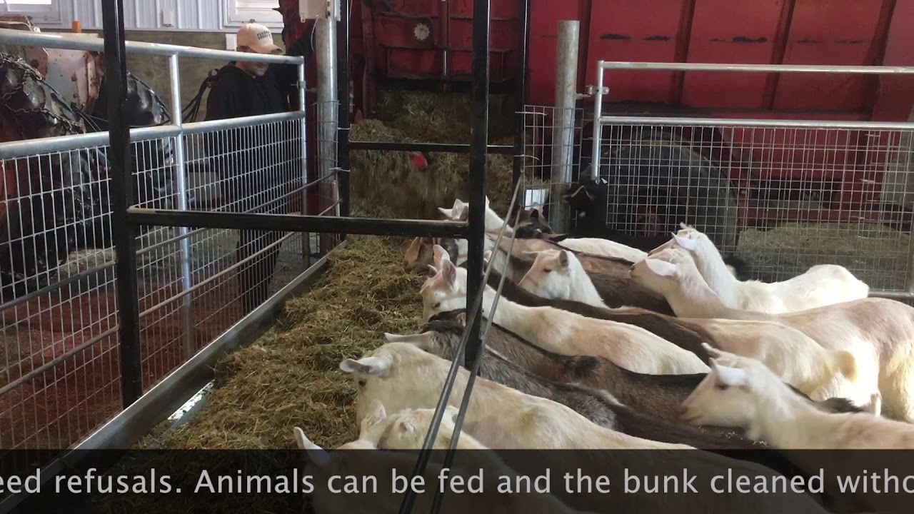 Moving Goat Feeder - YouTube