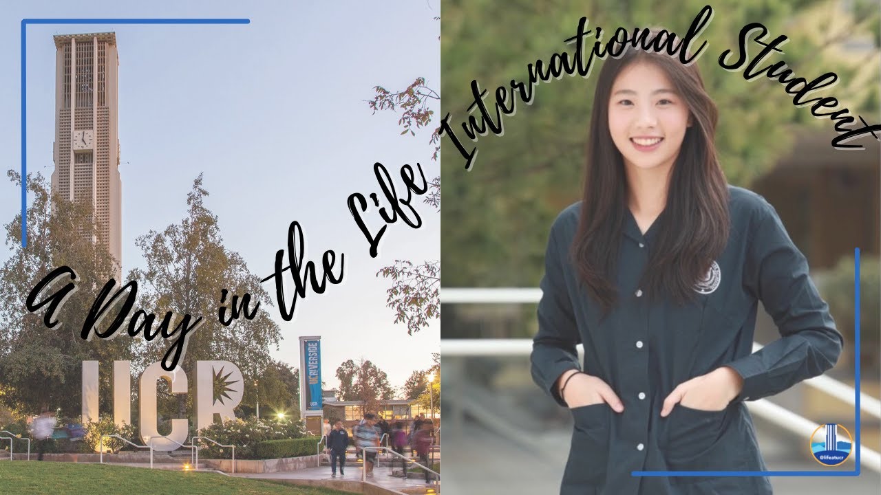 Day in the Life of An International Business Student - Debby - YouTube