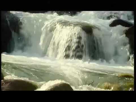 Машраб Вохидов -Дилбарим