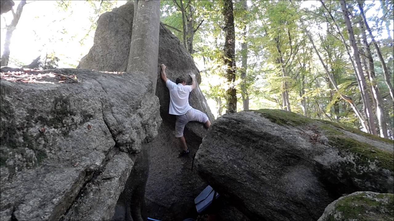 the life 7c medonnet - YouTube