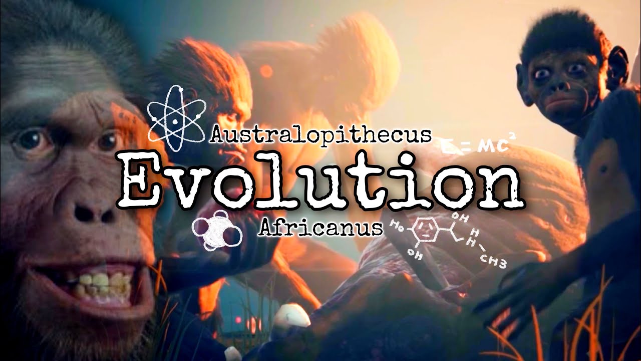 The Taung Child! [Australopithecus Africanus!] Part 36 🐵 Ancestors The ...