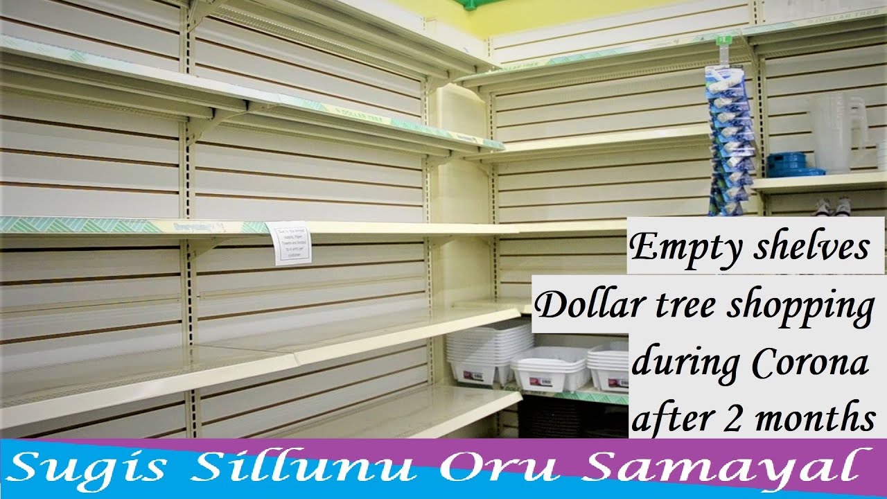 Dollar tree shopping after 2 month during corona Empty shelves Sugis ...