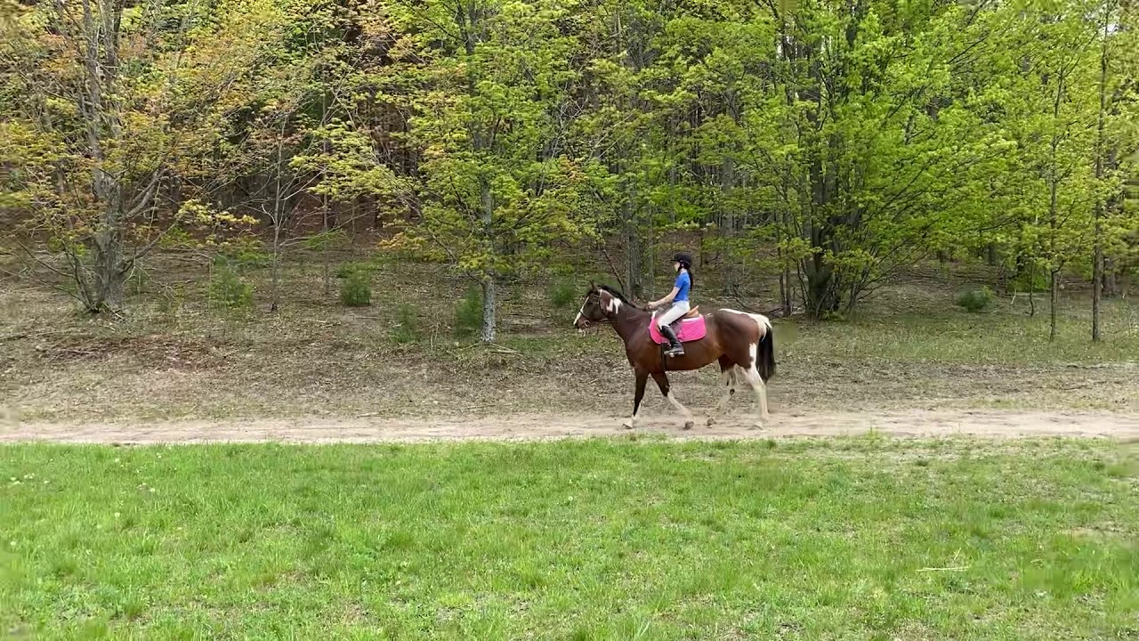 Ava Garvin English class 1&2 - YouTube