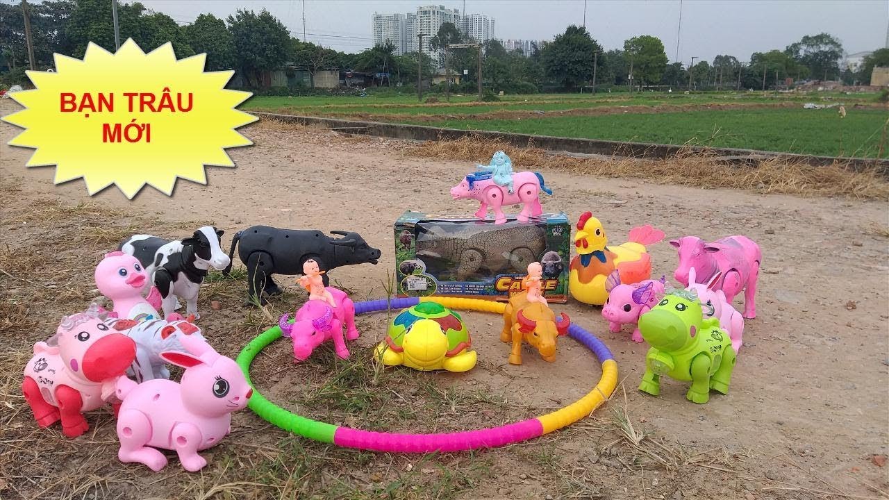 CON BÒ SỮA, CON TRÂU, CON GÀ, CON VỊT, COWS, COWS VIDEO, - YouTube