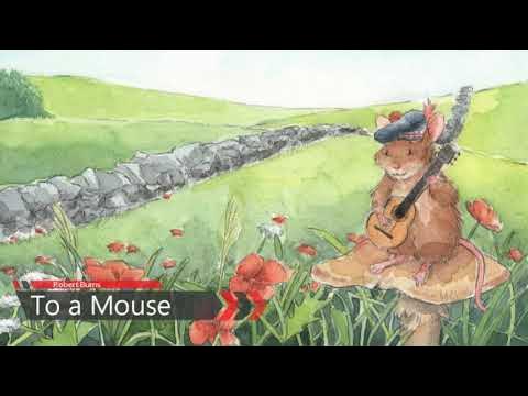 To a Mouse - Robert Burns - YouTube