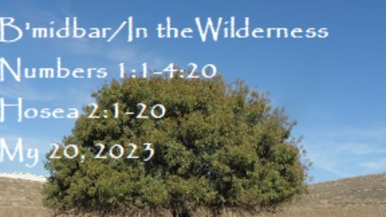 B'midbar / In the Wilderness - YouTube