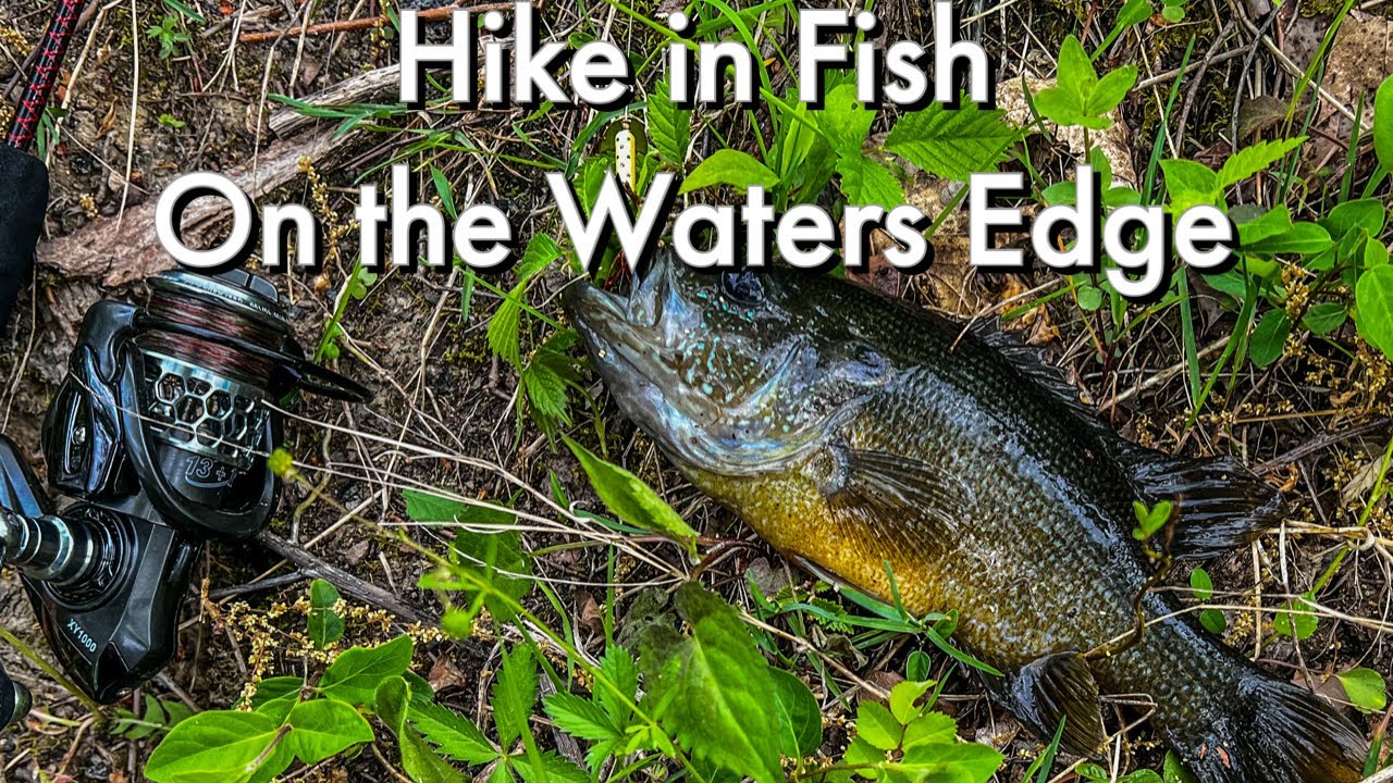 Hike in Fishing Testing the Dock Runner Rod for Backpack Fishing On the ...