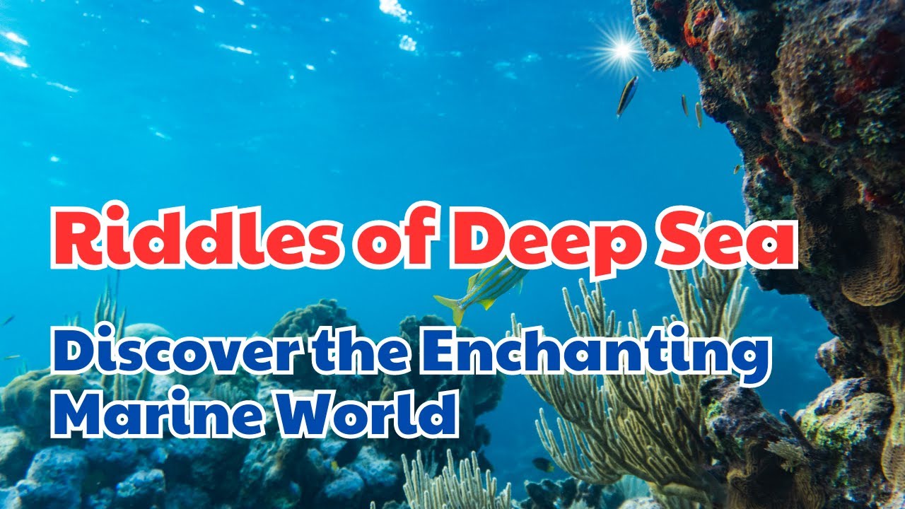 Discover the Enchanting Marine World Riddles of the Deep Sea Creatures ...