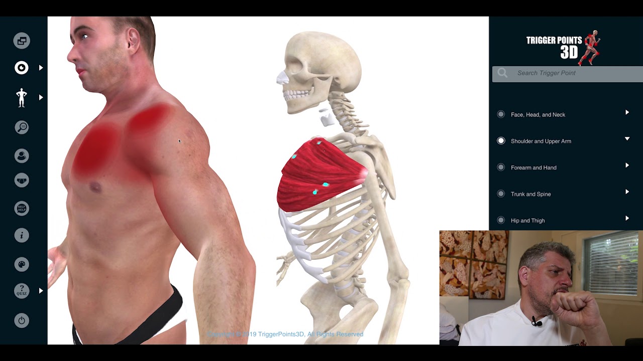 Pectoralis Major - Trigger Point of the Week - YouTube