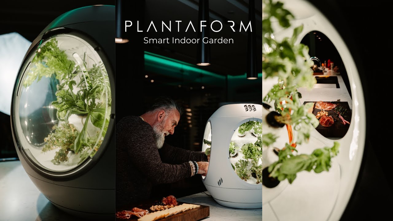 Meet Plantaform, The Future of Indoor Gardening! - YouTube