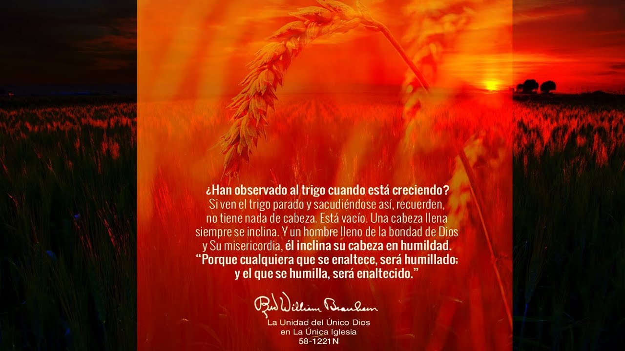 TEMA: 2 part Las Parábolas. ( Joel 2: 23-24, EL TRIGO Y LA CIZAÑA ) Ps ...
