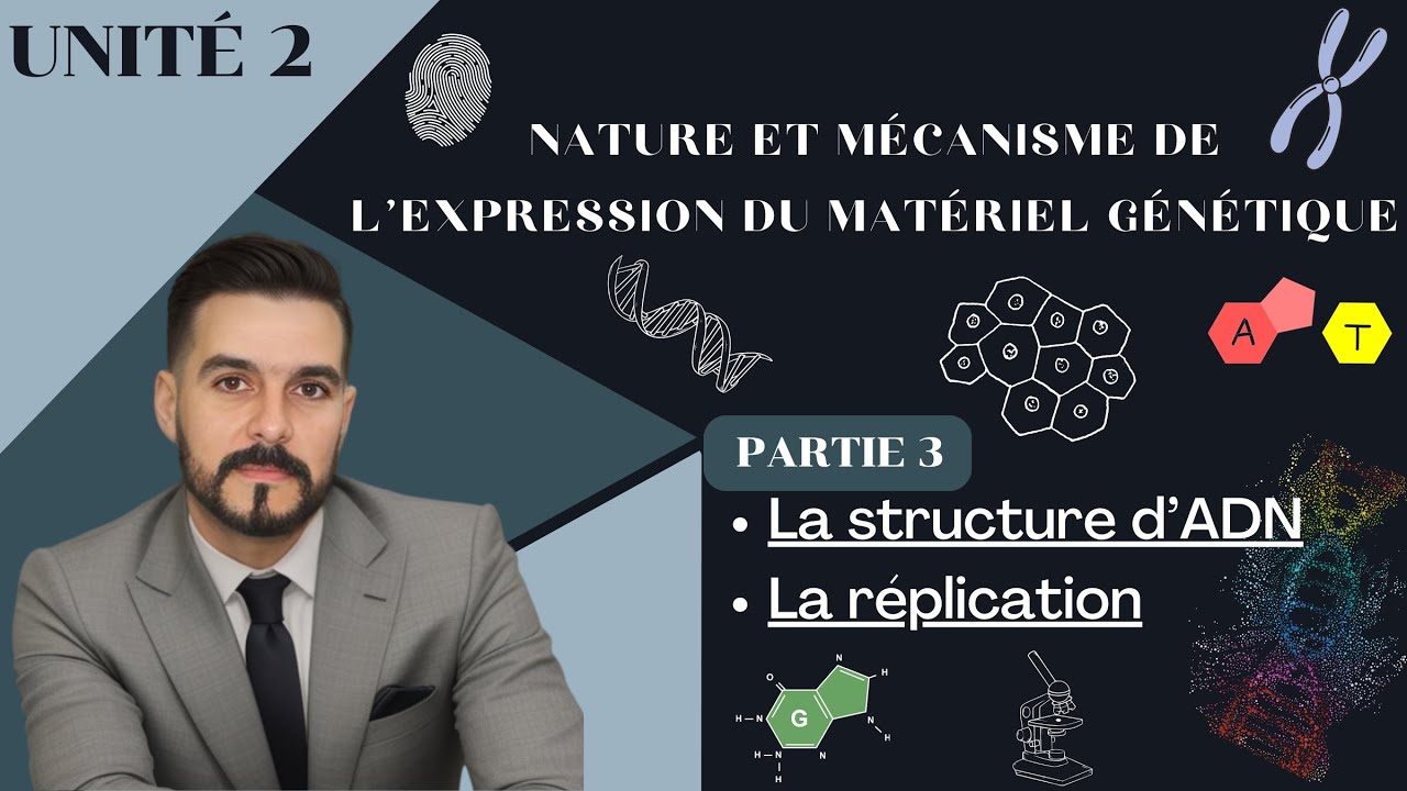 UNITÉ 2 == Parti 3 : La structure d'ADN - La réplication - YouTube