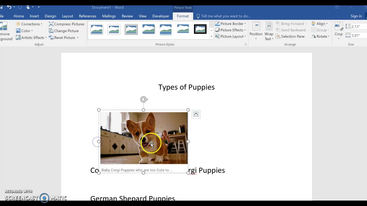 How to put an image into a word doc. - YouTube