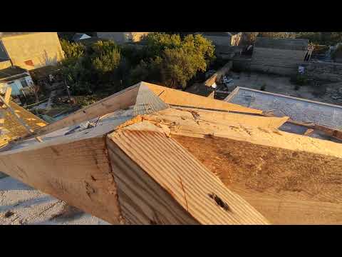 paxillar beyenmez #trend #trending #trendingshorts #tranding #trendingvideo #youtube #youtubeshorts