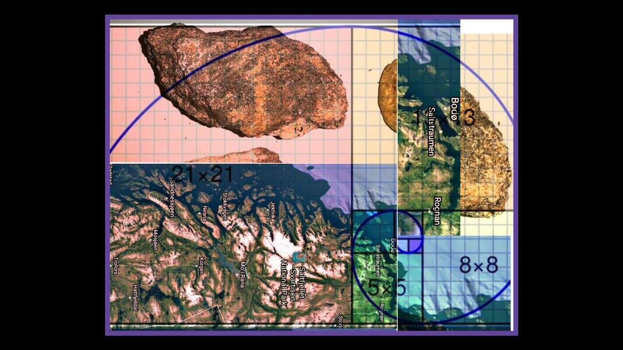 Giant Fossil Evidence Trough The Scope Of The Fibonacci Sequence - YouTube