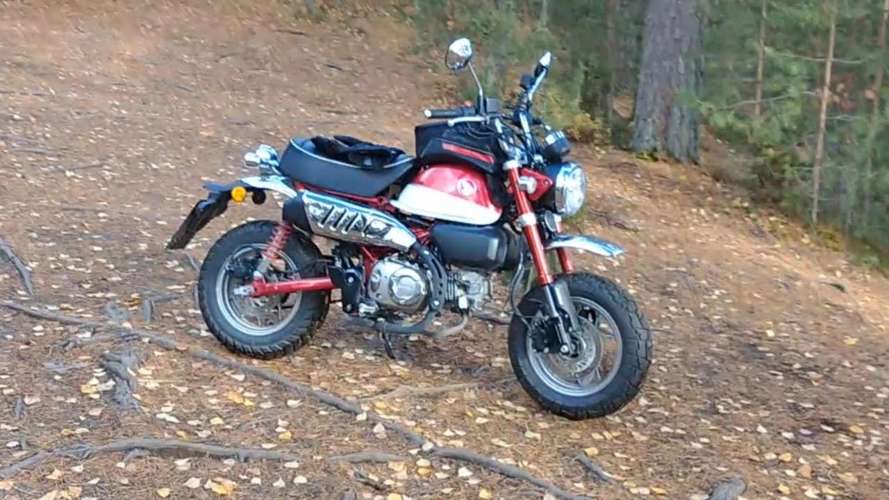 The Adventures of Monkey Man: Cool autumn off-road ride - YouTube