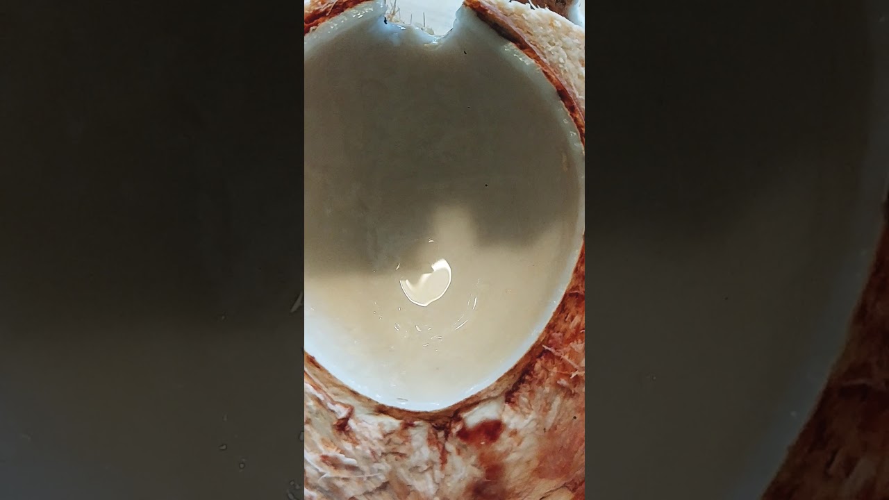Coco tierno. Young coconut. Yummy. Delicioso. - YouTube