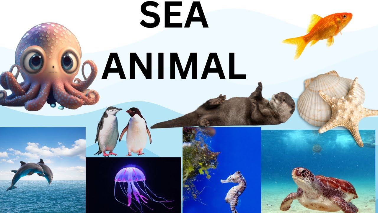 See animals | kids vocabulary | learn english for kids | english ...