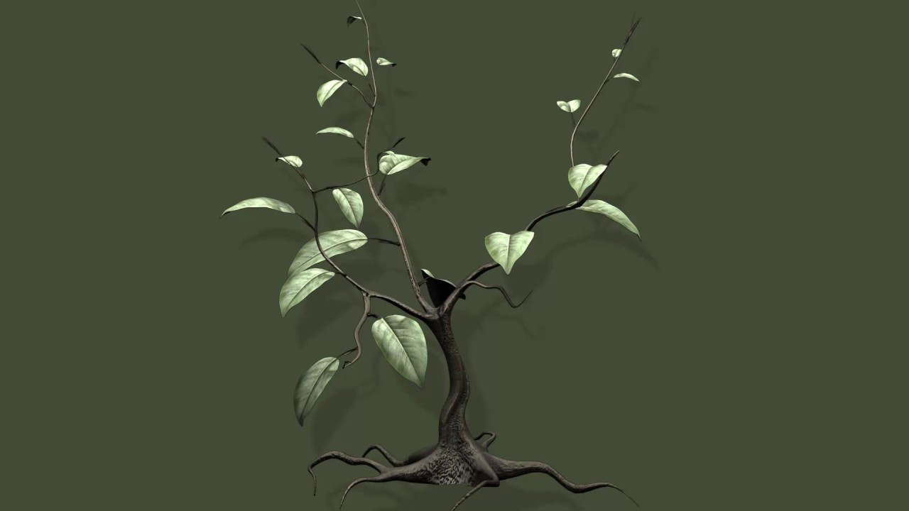 Basic tree/plant modeling 3ds max (timelapse) - YouTube