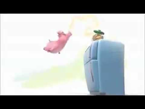 Pig and fridge - YouTube