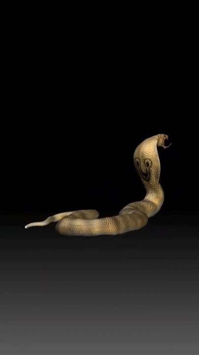 snake zbrush sculpting turntable | subscribe for more - YouTube