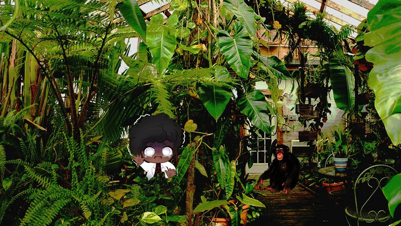 Welcome to the jungle, it's in your room - SCP 1341 - YouTube